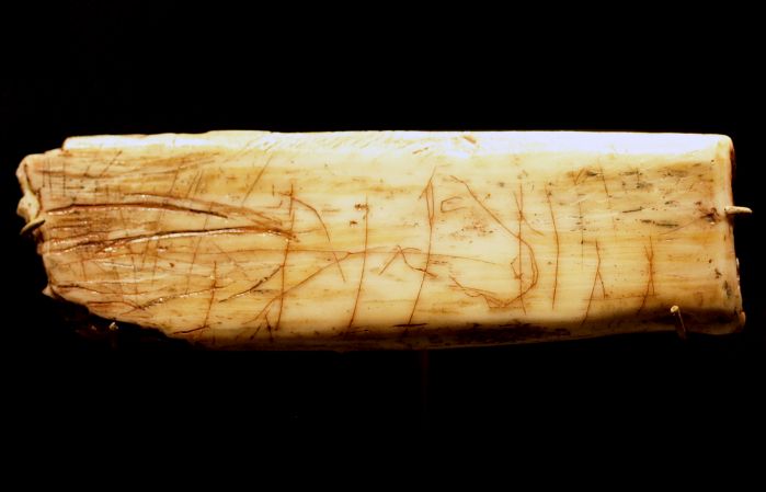 The First Humans in Britain: A Journey through Time